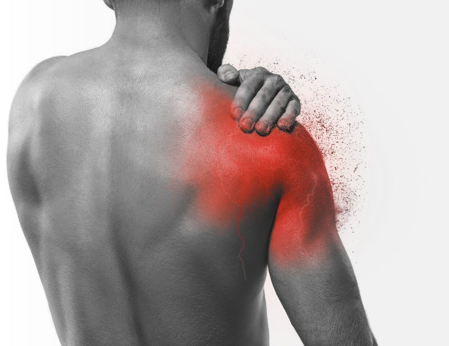 Shoulder - Facts & Physio