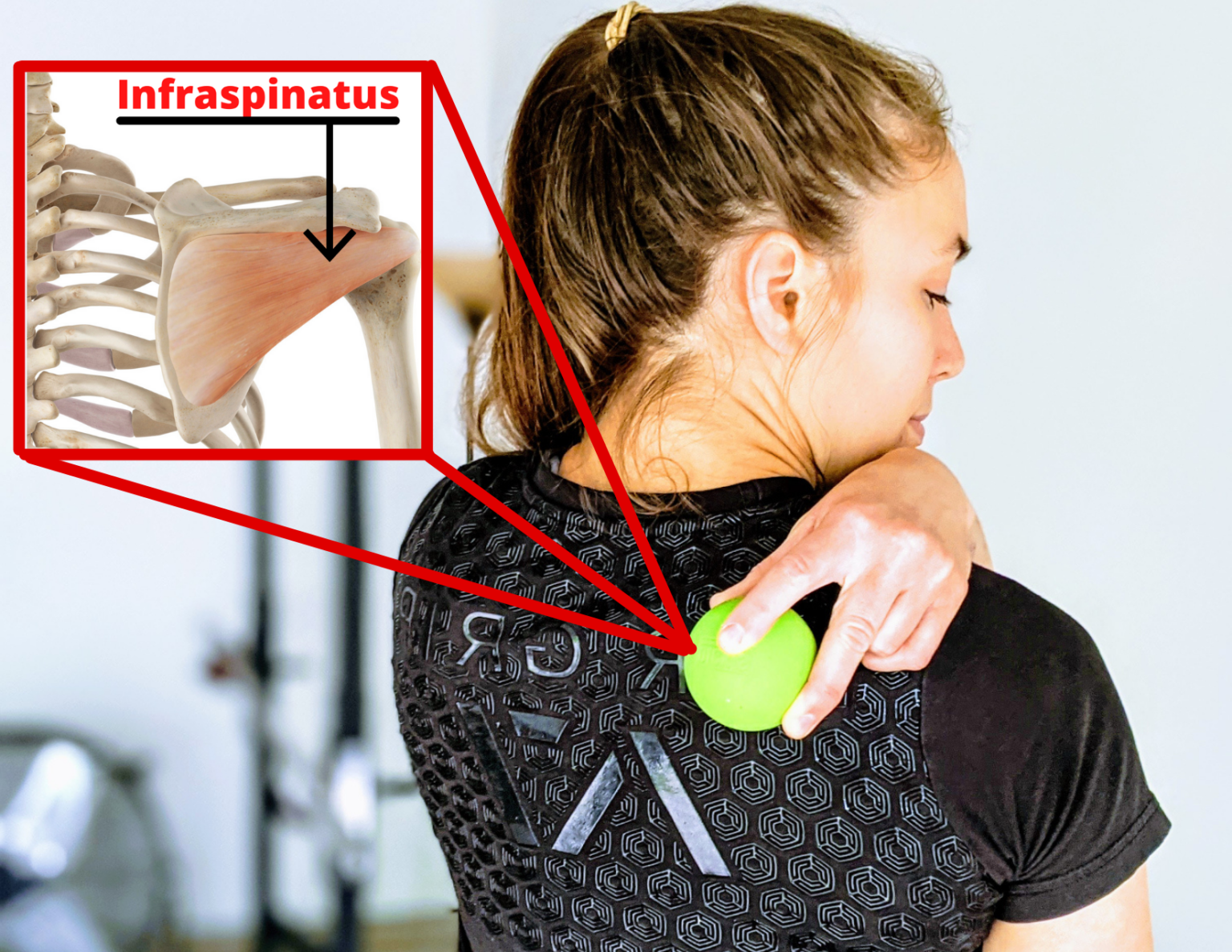 8 Infraspinatus Exercises to Build a Strong Rotator Cuff - Facts & Physio